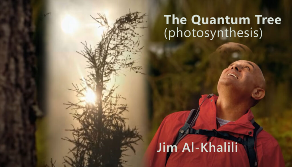 The quantum tree: photosynthesis - Jim al-Khaili (EN EN/ES/IT/NL ...